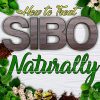 How to Treat SIBO Naturally | Atrantil - KBS Research