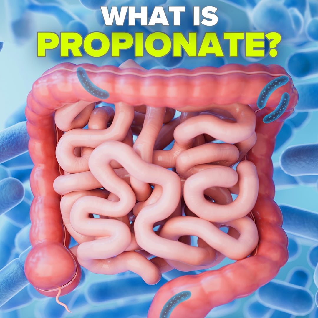What is propionate and what does it do for your health? - Atrantil