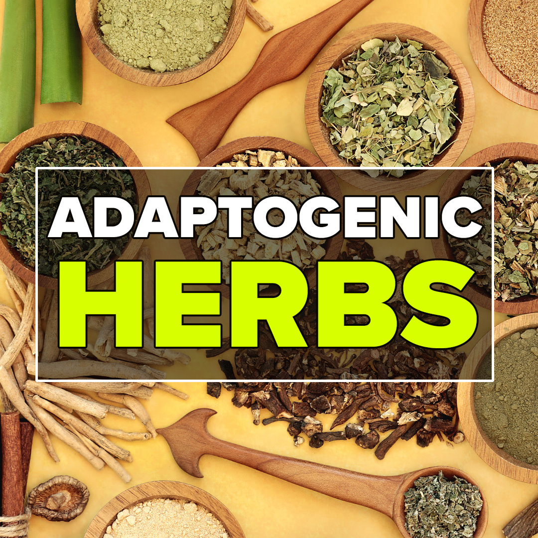 Adaptogenic Herbs - Atrantil