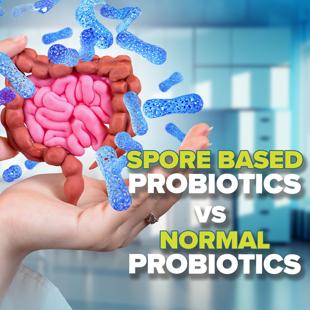 Spore-Based Probiotics vs Normal Probiotics: What's the Difference and ...