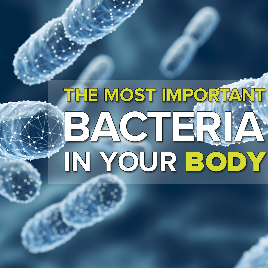 The Most Important Bacteria in Your Body - Atrantil